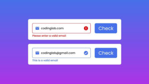 Email Validation in HTML CSS and JavaScript