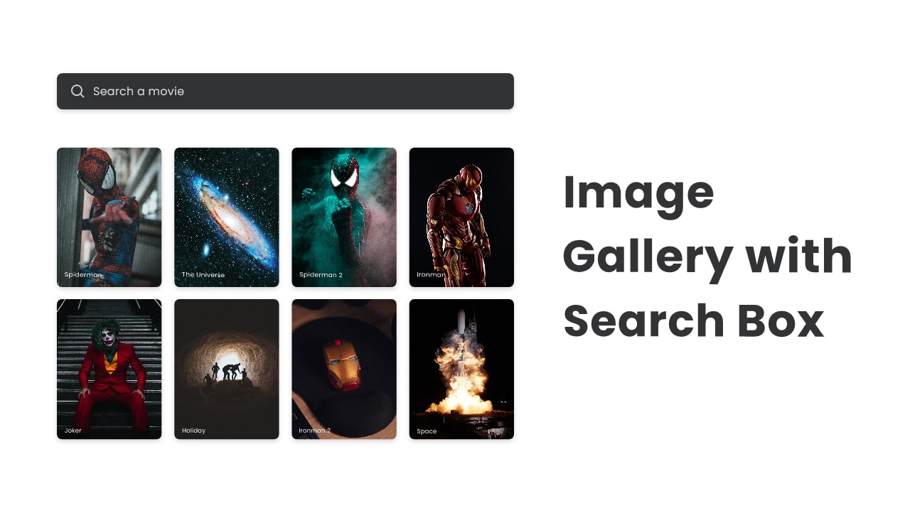 Image Gallery With Search Box In HTML CSS JavaScript